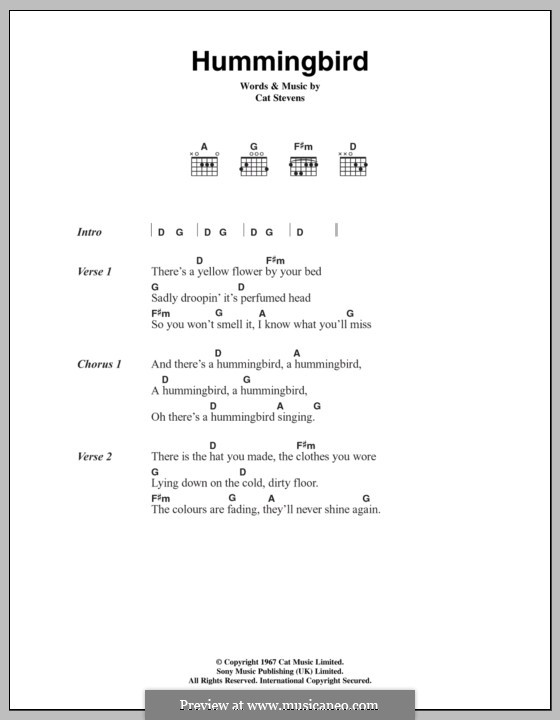 Hummingbird by C. Stevens - sheet music on MusicaNeo