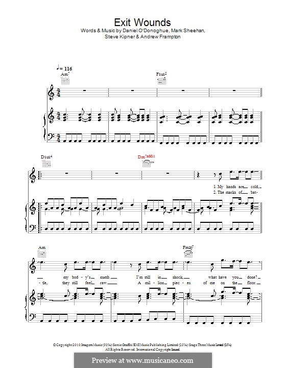 Exit Wounds (The Script) by A. Frampton, D. O'Donoghue, M. Sheehan, S.A ...