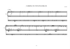 Work for Organ No.7 'Tota pulgra es', MVWV 302 by M. Verheul on MusicaNeo