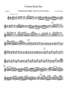 Cotton-Eyed Joe by folklore - sheet music on MusicaNeo