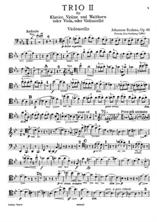 Trio for French Horn (or Cello), Violin and Piano, Op.40 by J. Brahms on MusicaNeo