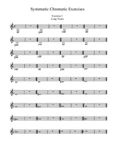 Systematic Chromatic Exercises by M. Schottenbauer on MusicaNeo