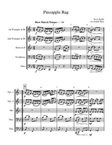 Pineapple Rag by S. Joplin - sheet music on MusicaNeo