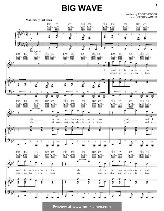 Big Wave (Pearl Jam) by E. Vedder, J. Ament - sheet music on MusicaNeo
