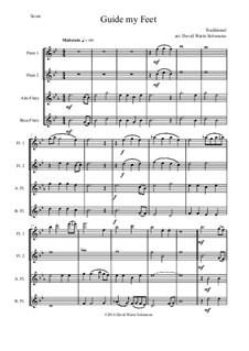 Guide my Feet by folklore - sheet music on MusicaNeo