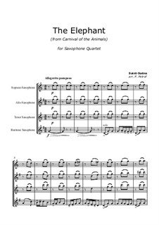 The Elephant (Le carnaval des animaux (The Carnival of the Animals)) by ...