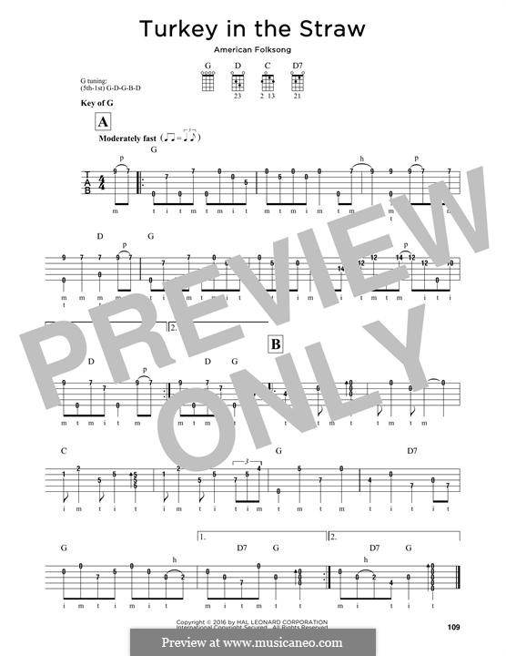 Turkey in the Straw by folklore - sheet music on MusicaNeo