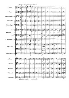 Movement IV (Symphony No.4 in E Minor, Op.98) by J. Brahms on MusicaNeo