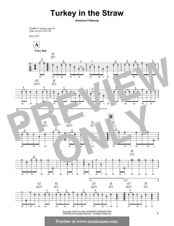 Turkey in the Straw by folklore - sheet music on MusicaNeo