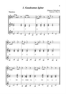 Gaudeamus igitur english translation - perindian