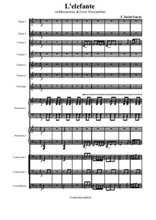 The Elephant (Le carnaval des animaux (The Carnival of the Animals)) by ...
