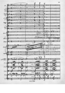 Concerto for Violin and Orchestra in B Major by E. Schelling on MusicaNeo