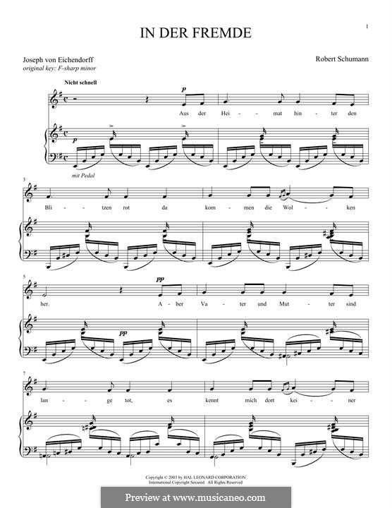 No.1 In der Fremde (Abroad) (Circle of Songs, Op.39) by R. Schumann on ...