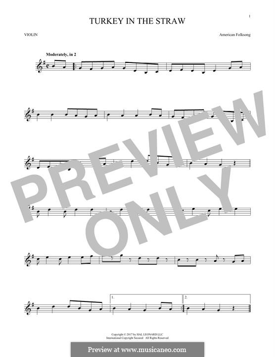 Turkey in the Straw by folklore - sheet music on MusicaNeo
