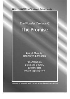 The Promise by B. Edwards - sheet music on MusicaNeo