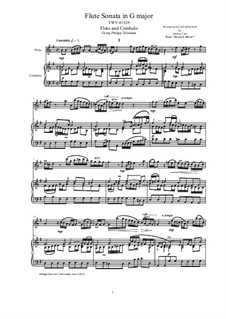 Sonata in G major for Flute and Cembalo (or Piano), TWV 41:G9 by G.P ...