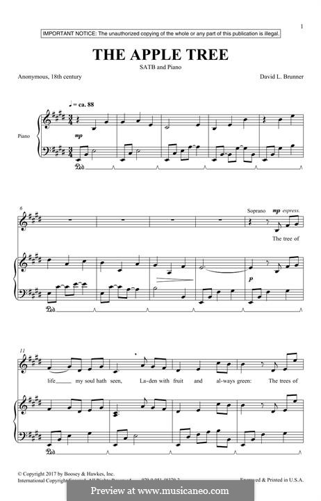 The Apple Tree by D.L. Brunner - sheet music on MusicaNeo