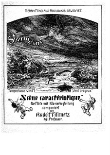 Tempestuous Wind, Op.51 by R. Tillmetz - sheet music on MusicaNeo