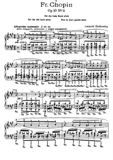 Studies after Etudes by Chopin, Op.10 by L. Godowsky on MusicaNeo