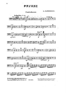 Pavane for String Orchestra by A. D'Ambrosio - sheet music on MusicaNeo
