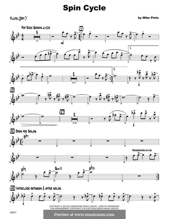 Spin Cycle by M. Pinto - sheet music on MusicaNeo