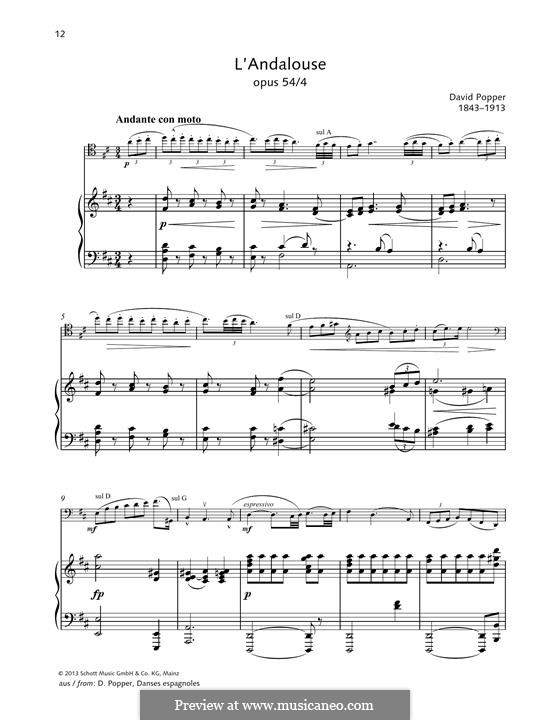 L'Andalouse by D. Popper - sheet music on MusicaNeo