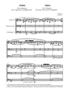 Trio for Clarinet, Bass Clarinet, Contrafagotto by A. Bystrov on MusicaNeo