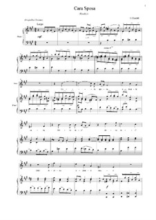 Cara Sposa (Rinaldo, HWV 7) by G.F. Händel - sheet music on MusicaNeo