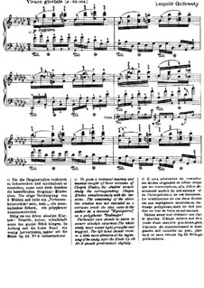 Studies after Two Etudes by Chopin, Op.10 No.5, Op.25 No.9 by L. Godowsky on MusicaNeo