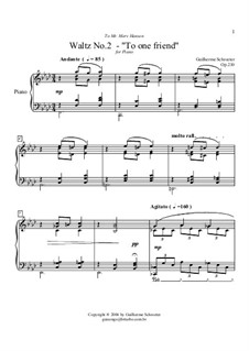 Waltz 02 by Willy Piano Player - sheet music on MusicaNeo