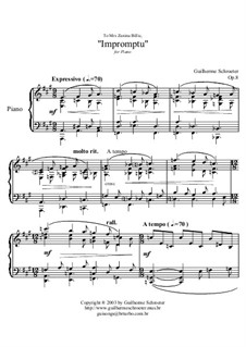 Impromptu by Willy Piano Player - sheet music on MusicaNeo