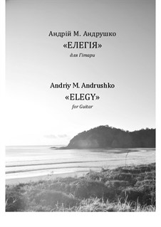 Elegy by A. Andrushko - sheet music on MusicaNeo