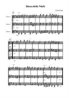Bassa delle Ninfe by C. Negri - sheet music on MusicaNeo