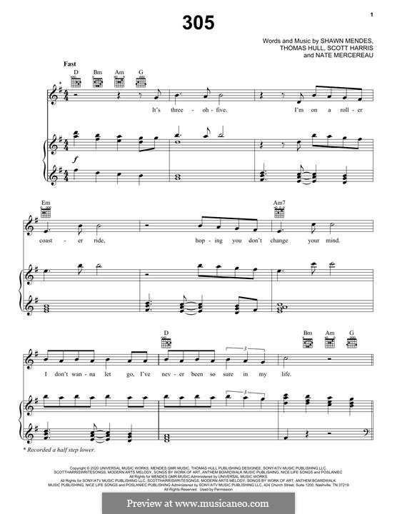 305 (Shawn Mendes) by T. Hull - sheet music on MusicaNeo