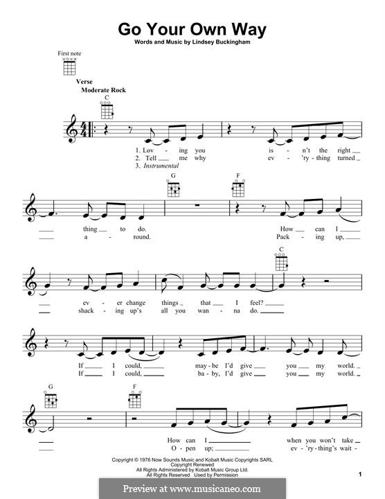 Go Your Own Way Guitar Chords