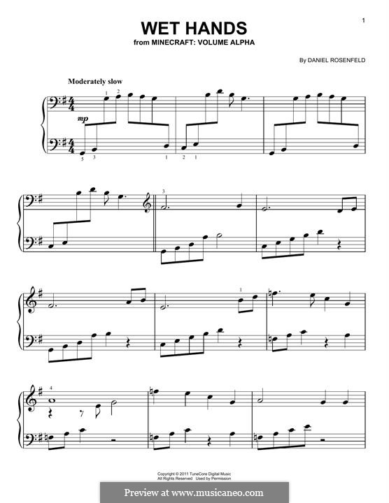 Wet Hands (from Minecraft) (C418) by D. Rosenfeld on MusicaNeo