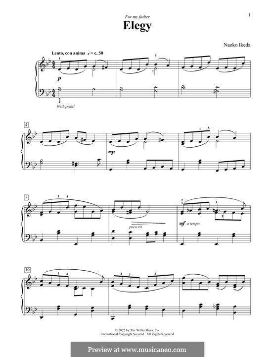 Elegy by N. Ikeda - sheet music on MusicaNeo