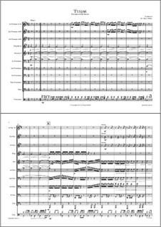 Tuljak by folklore - sheet music on MusicaNeo