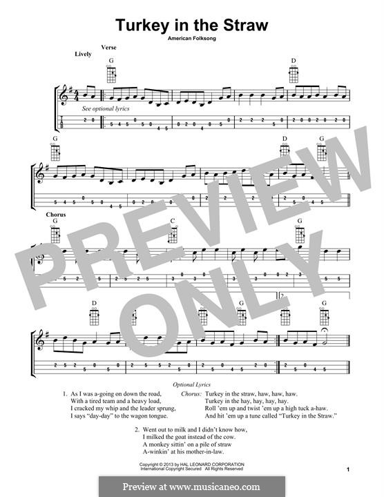 Turkey in the Straw by folklore - sheet music on MusicaNeo