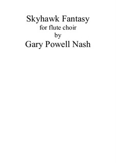 Skyhawk Fantasy by G. Nash - sheet music on MusicaNeo