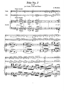 Piano Trio No.3 in C Minor, Op.101 by J. Brahms on MusicaNeo