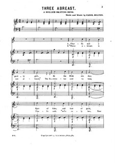 Three Abreast. A Roller Skating Song by C. Hilton on MusicaNeo