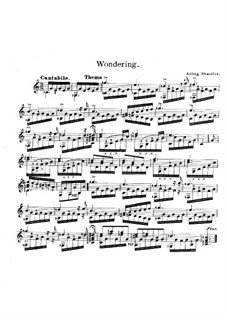 Wondering by A. Shaeffer - sheet music on MusicaNeo