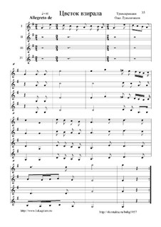 Цветок взирала by folklore - sheet music on MusicaNeo
