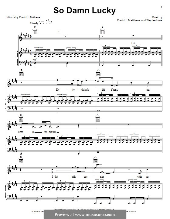 So Damn Lucky by D.J. Matthews, Steve Harris - sheet music on MusicaNeo