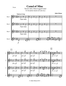 Camel of Mine - Travels with a Three-Legged Camel von J. Gibson auf ...