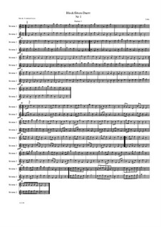 Blockflöten-Duett Nr.1 von F. Gross - Gratis-Download von MusicaNeo