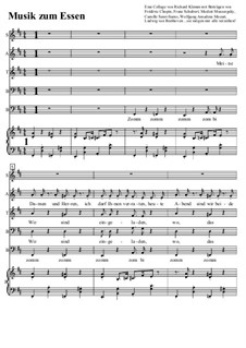 Musik zum Essen von W.A. Mozart, F. Schubert, C. Saint-Saëns, L.v ...