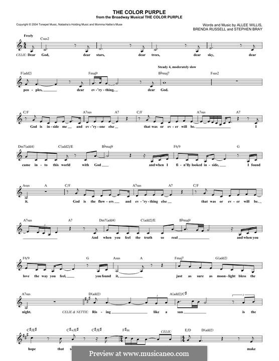 The Color Purple (The Color Purple - The Musical) von A. Willis, B ...