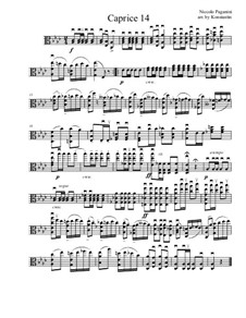 Caprice No.14 (Vierundzwanzig Capricen, Op.1) von N. Paganini auf MusicaNeo